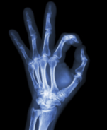 Diagnostic Radiography cohort 2020. - BCU E-Portfolios